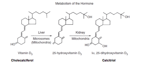 Vitamin D 3 – Clinical Nutrition/FUnctional Medicine PRactice